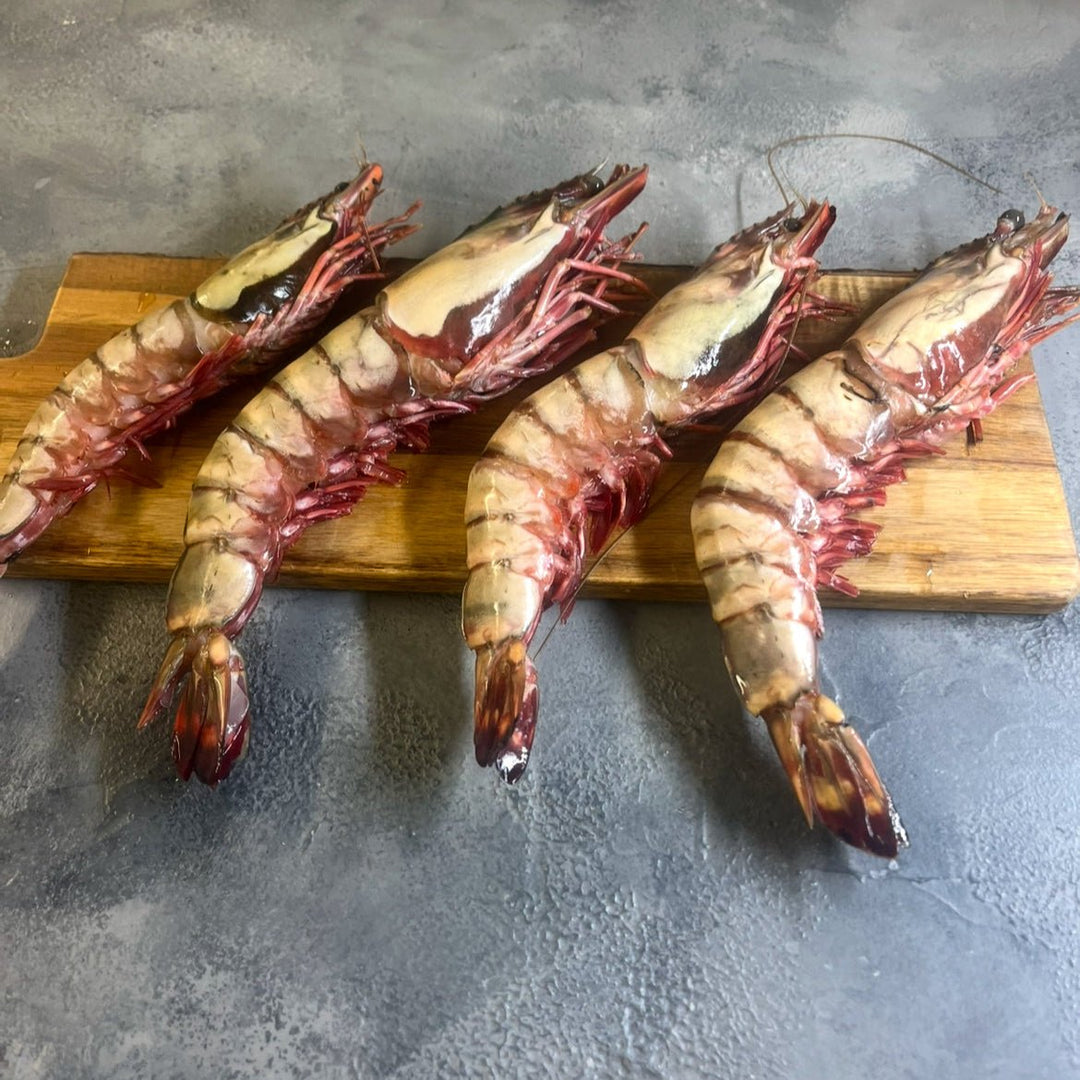 Prawns & Shrimps | Premium Quality Frozen Seafood | Seafood Direct UK