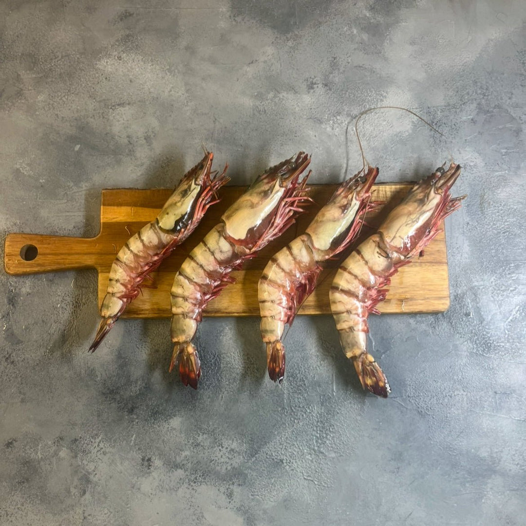 Extra-Large Prawns with Head On Shell On | 2-4 Prawns per Pack (800g ...