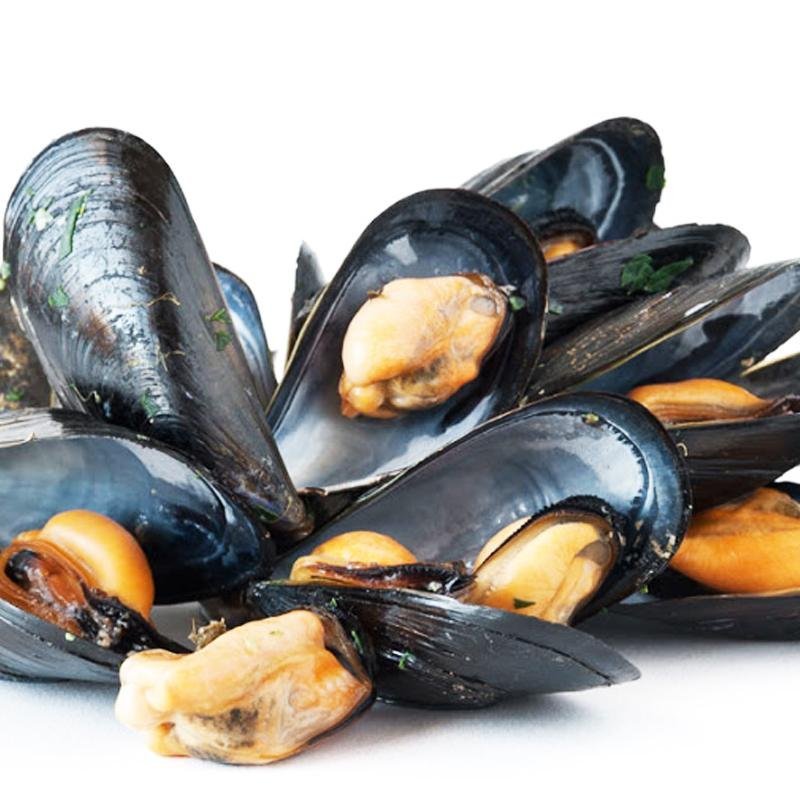 New Zealand Mussels in Half Shell | 800g Pack | Seafood Direct ...