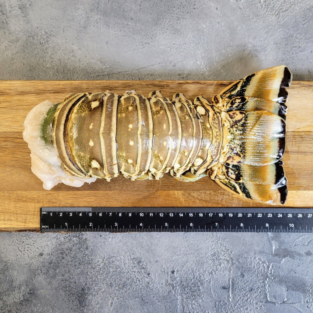 Caribbean Rock Lobster Tail| Seafood Direct UK | Seafood Delivery