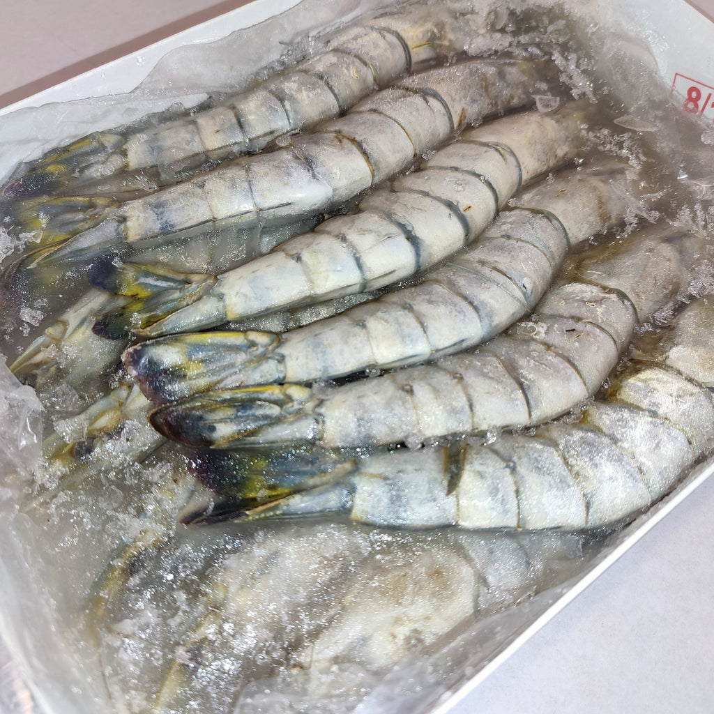 Black Tiger Head On Shell On Prawn 8/12 – Seafood Direct UK