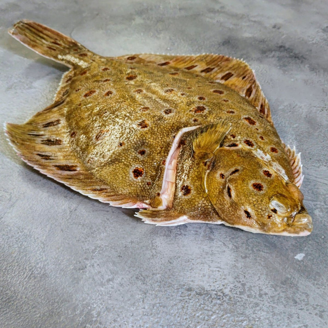 Whole Plaice – Seafood Direct UK