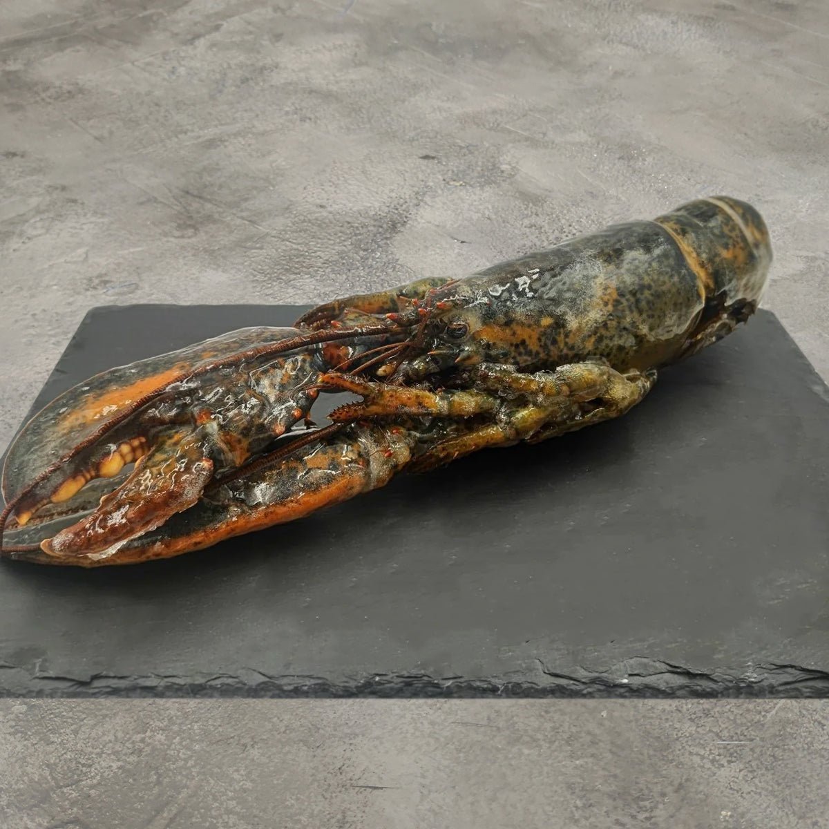 Whole Raw Lobster | Canadian MSC | 550-600G Frozen – Seafood Direct UK